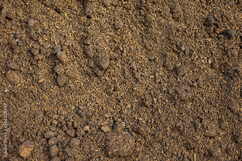Soil for planting. Rice husk mixed with soil and manure. Soil ...