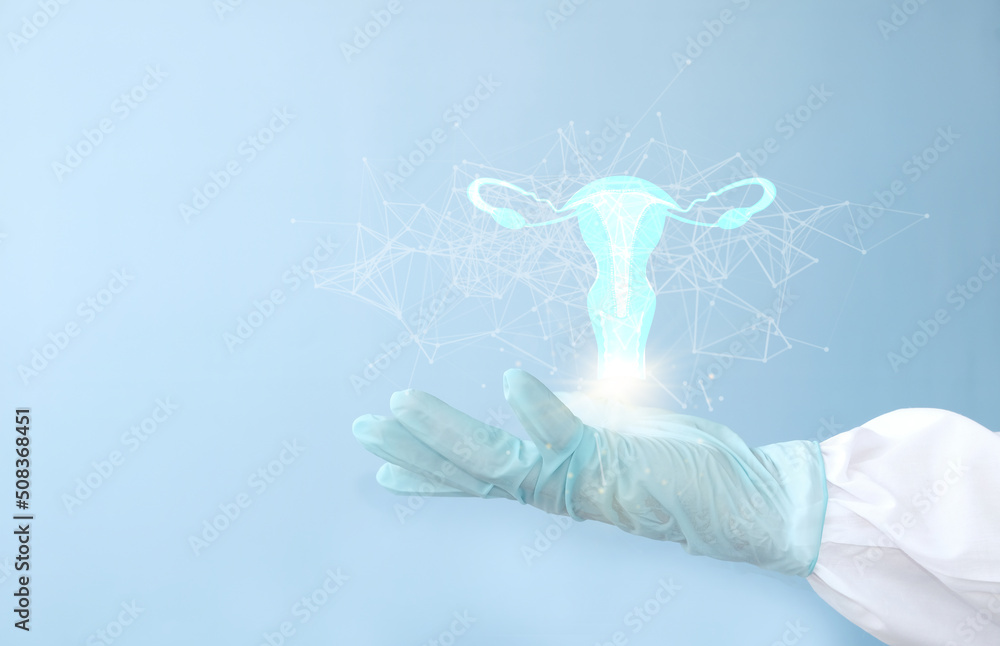 Doctor examines the hologram of a female uterus and examines the test ...