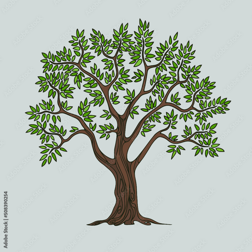 Almond tree, nut wood with branches and green leaves isolated on the ...