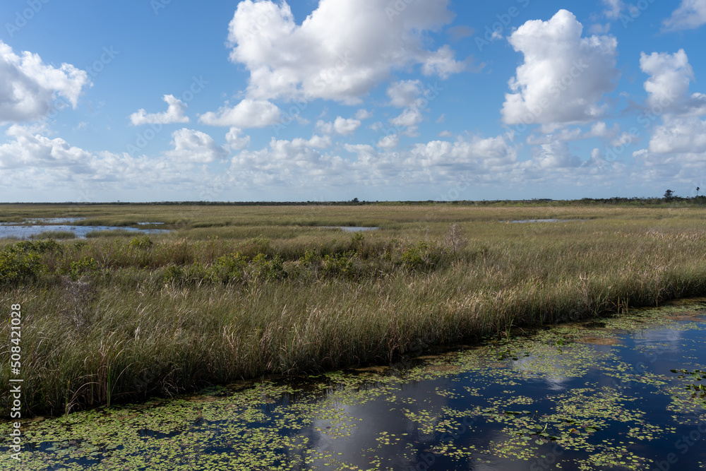 Marshland in Everglades National Park with blue sky and white clouds in ...