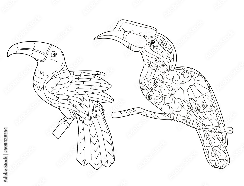 Cute beautiful bird toucan. Set. Black and white background. Funny ...