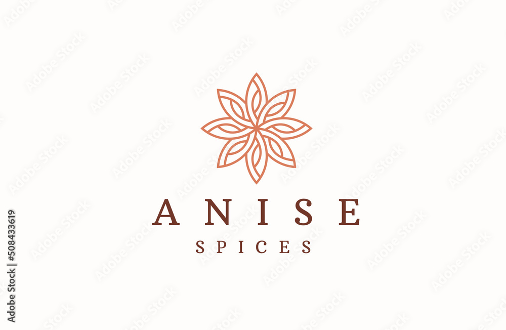 Star Anise logo icon design template flat vector Stock Vector | Adobe Stock