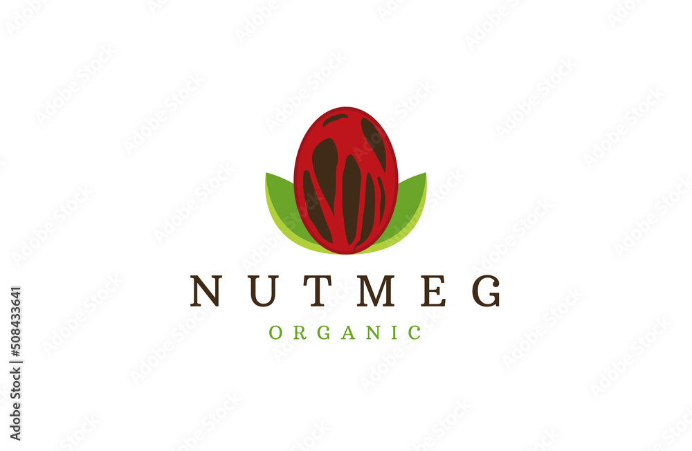 Nutmeg logo icon design template flat vector Stock Vector | Adobe Stock