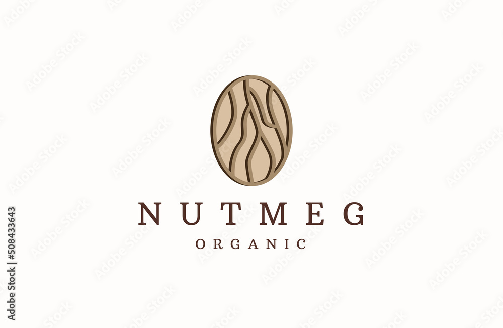 Nutmeg logo icon design template flat vector Stock Vector | Adobe Stock
