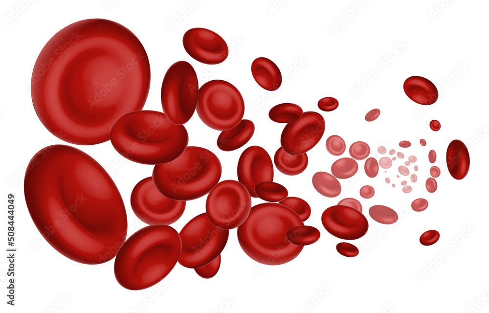 Flowing Red Blood Cells on white background, 3D realistic vector ...