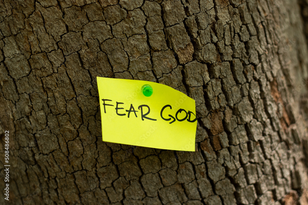 Fear God, a handwritten Bible verse on a note pinned on a tree in ...