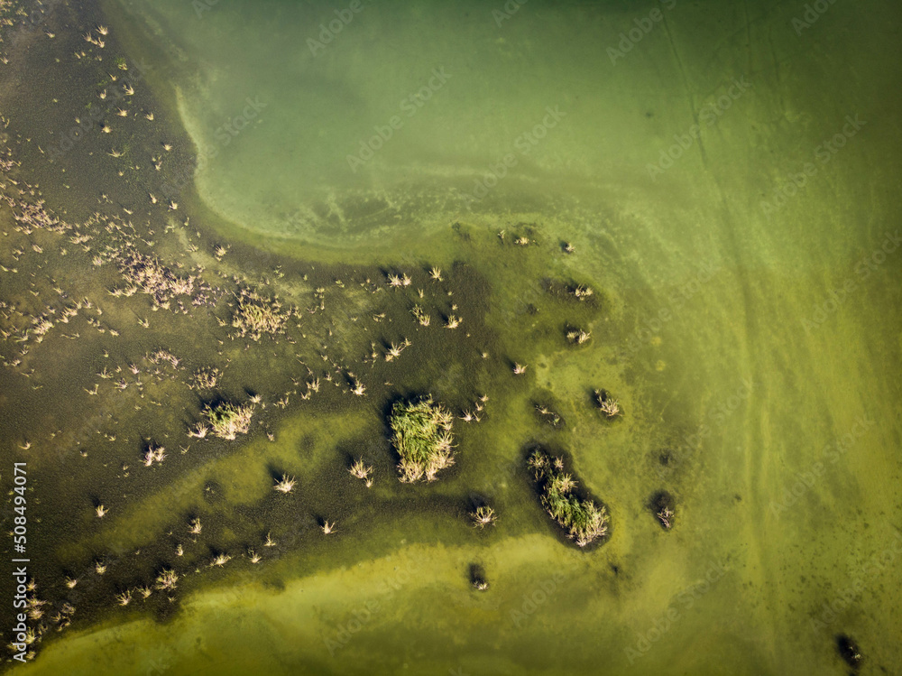 Top down aerial view of green shallow water lagoon with swamp in the ...