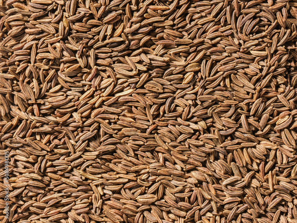 Background Texture of Dried Cumin Seeds. Surface covered with cumin ...