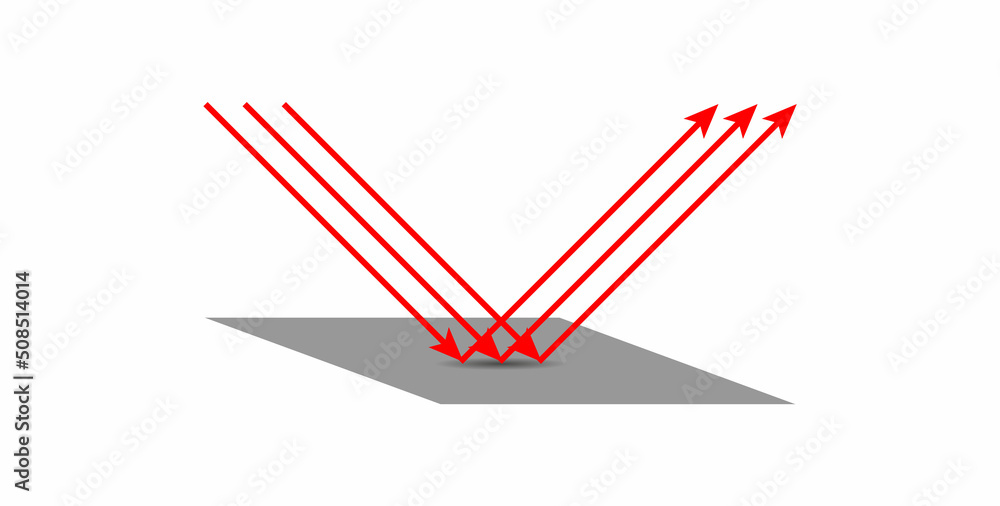 Regular Reflection Of Light Diagram Of Specular Reflection Vector