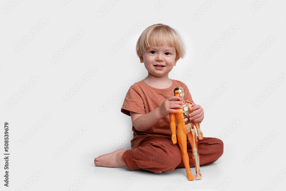 little boy holding a toy, human model for studying anatomy, body ...