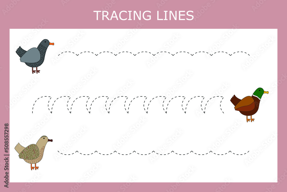 Trace line worksheet with ducks for kids, practicing fine motor skills ...