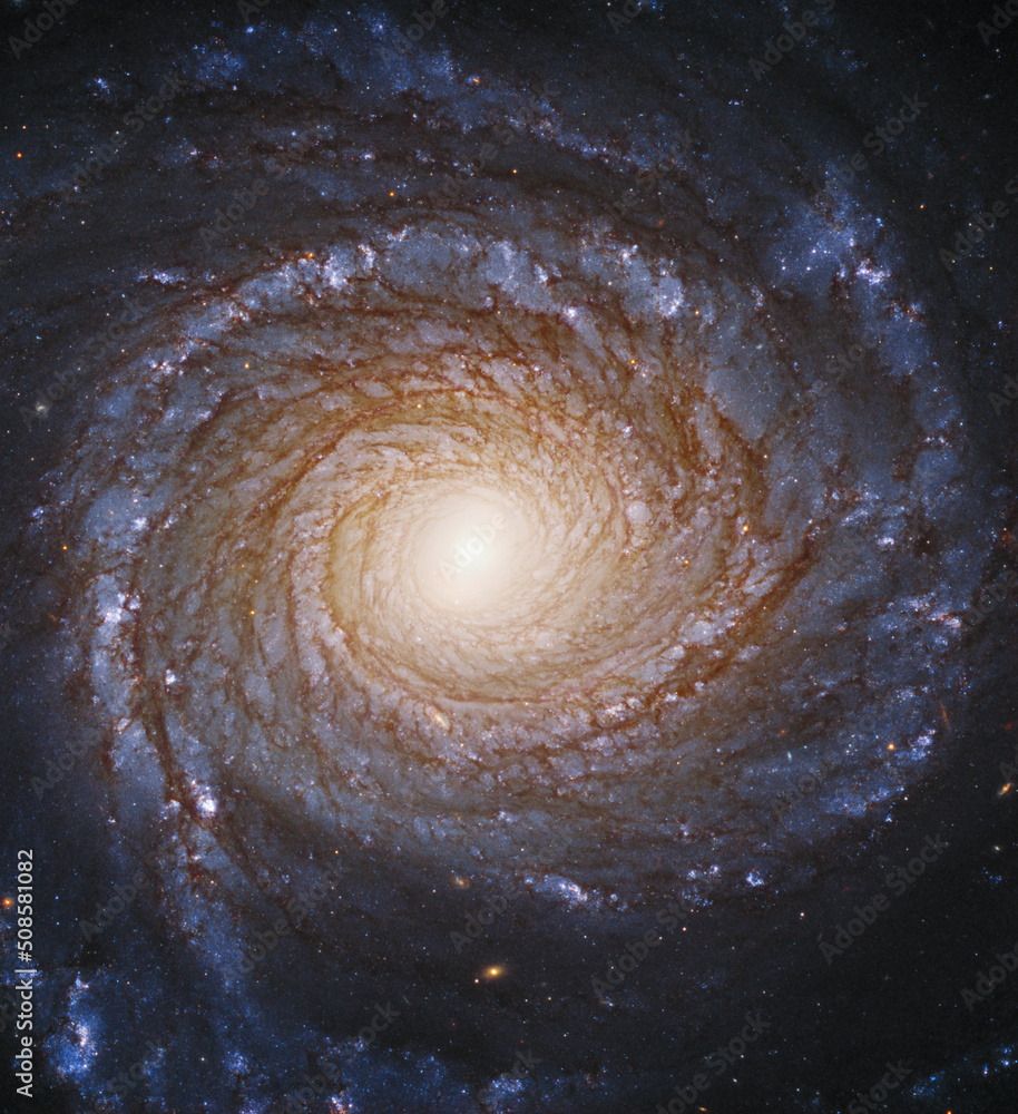 Spiral Galaxy NGC 3147 Constellation of Draco. Elements of this picture ...
