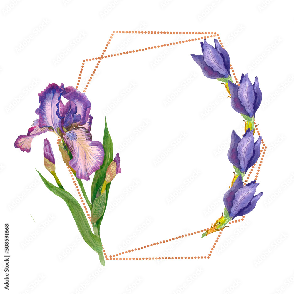 Wildflower iris flower frame in a watercolor style isolated. Delicate ...