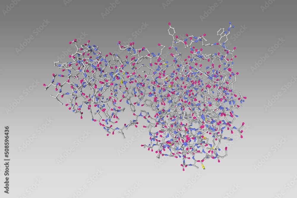 Structure of caspase-9 in an inhibitory complex with XIAP-BIR3 ...
