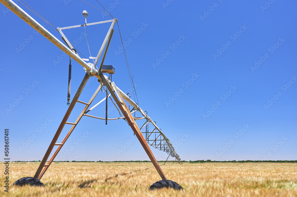circular pivot irrigation system in a cereal field before mowing Stock ...