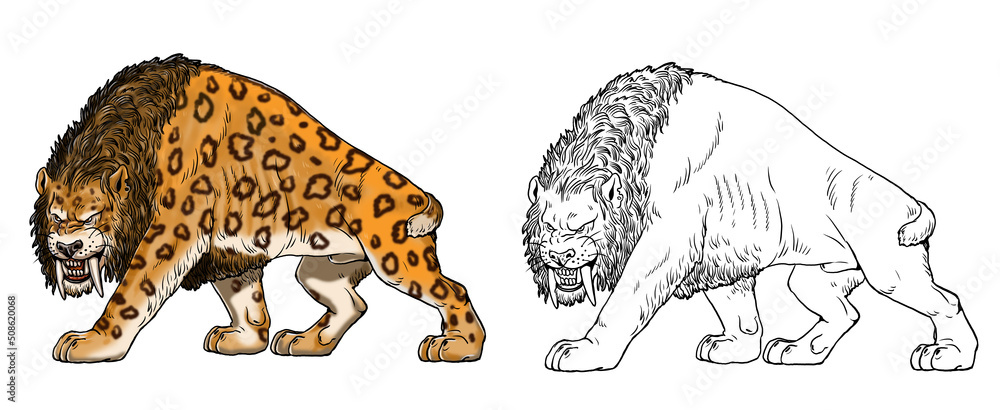 Saber tooth cat on the hunt. Animals drawing. Saber-toothed cat attack ...