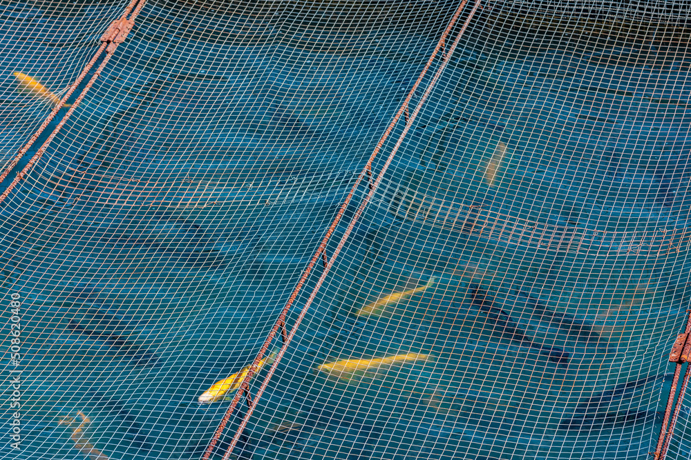 fish cage at aquaculture farm closeup Stock Photo | Adobe Stock