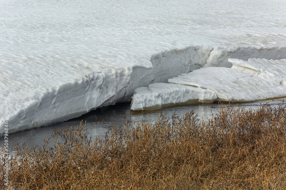 Foto de In spring, the tundra is freed from snow cover and ice ...