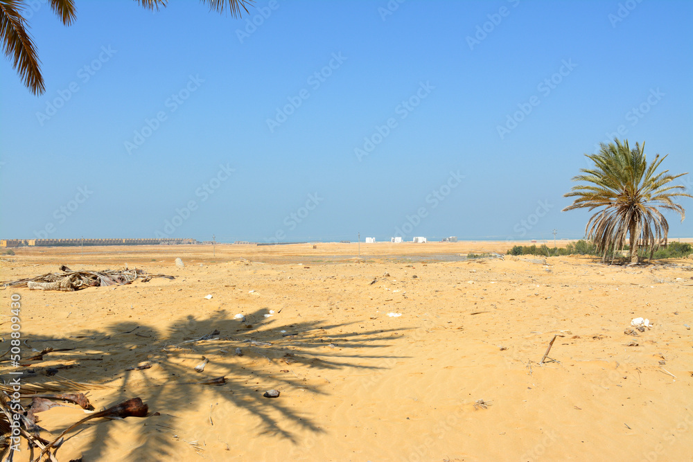 Prophet Moses Springs, Water wells and palms in Sinai Peninsula, Ras ...