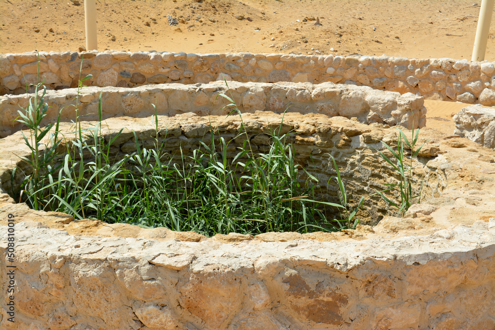 Prophet Moses Springs, Water wells and palms in Sinai Peninsula, Ras ...