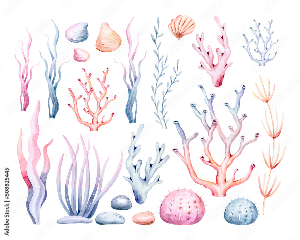 Watercolor seaweeds illustration. Sea underwater plants, ocean coral ...