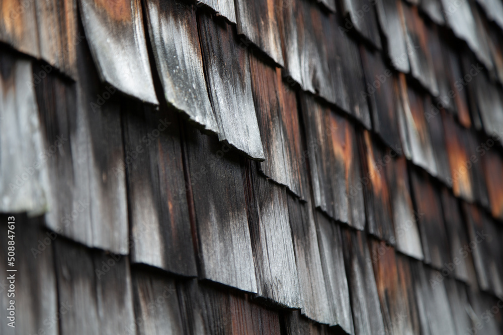 larch shingles Stock Photo | Adobe Stock