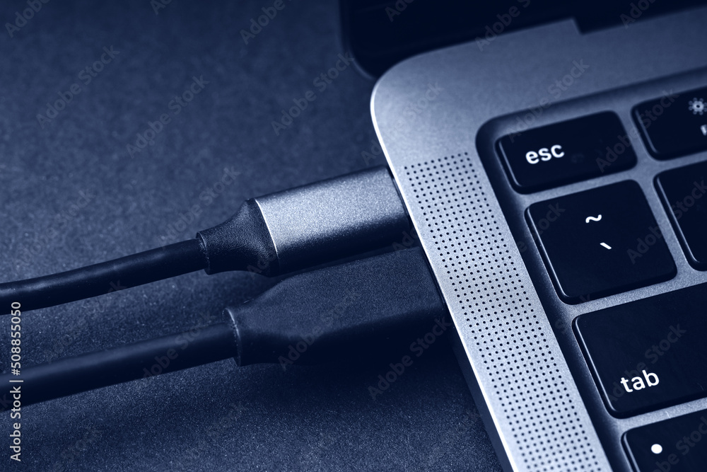 USB type c cables connected to the modern laptop connectors. Close up ...