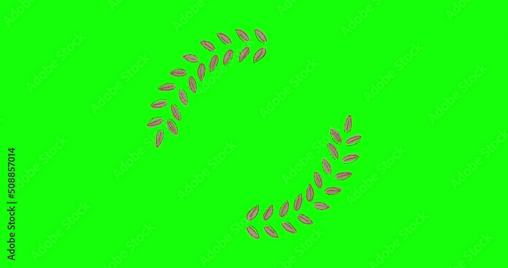 Animated wreath of leaves over a green chroma screen background. Radial ...