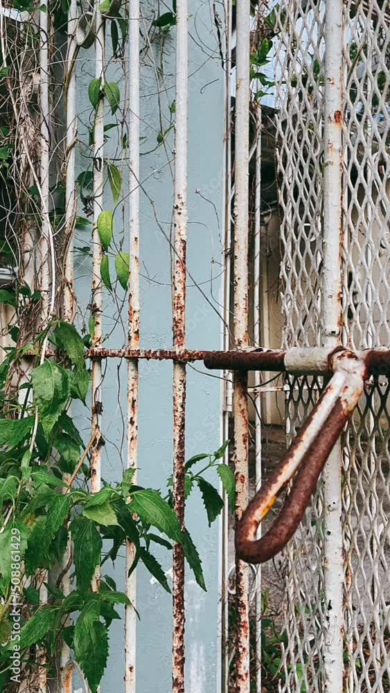 Leaved Blowing in wind Next to Gate, A Gate, Abandoned Places, Rustic ...