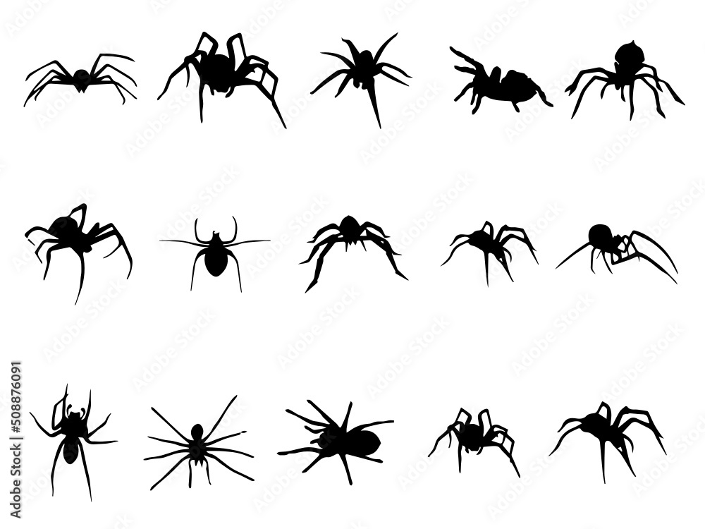 Spider Royalty Free Vector Image. Black Spider Vector. simple spider ...