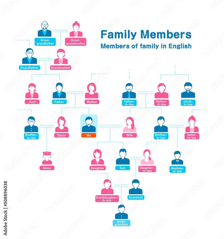 Family tree ( members of family ) vector illustration Stock Vector ...
