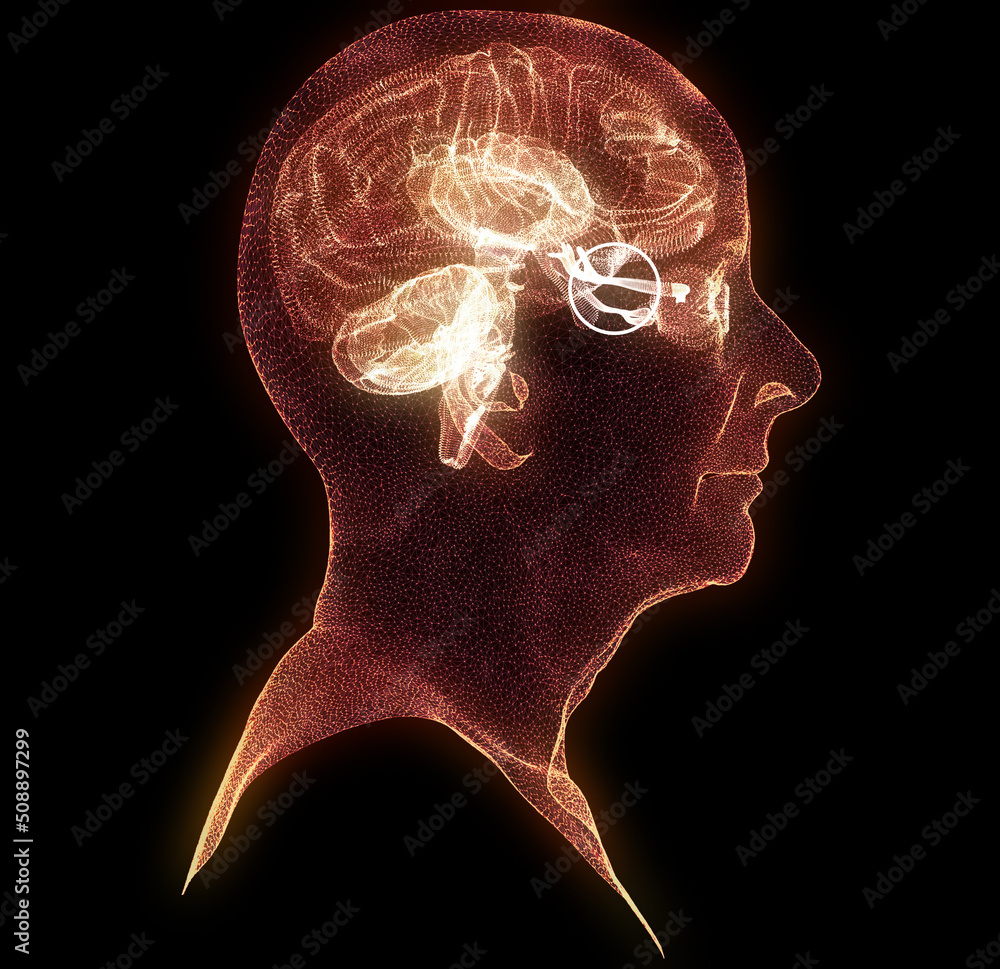 Optic nerve, section of the brain seen from the side. Nerve injury ...