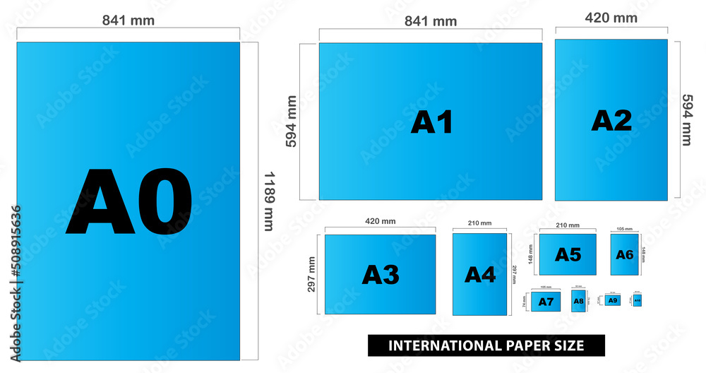stock vector paper sizes formats. set of white paper sheet ...