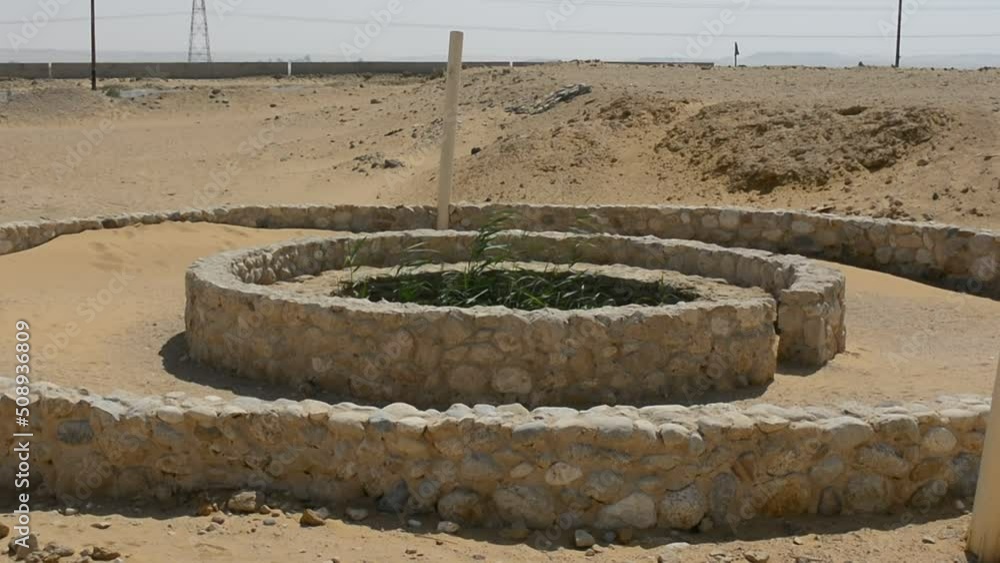 Prophet Moses Springs, Water wells and palms in Sinai Peninsula, Ras ...