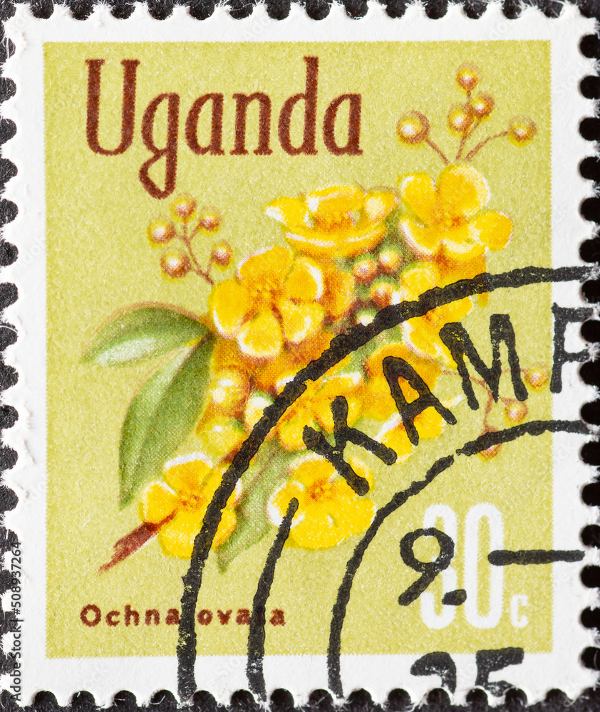 UGANDA - CIRCA 1969: a postage stamp from UGANDA, showing the flowering ...