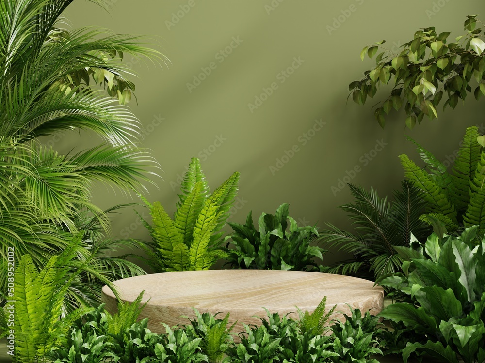 Circle wood pedestal in tropical forest for product presentation and ...