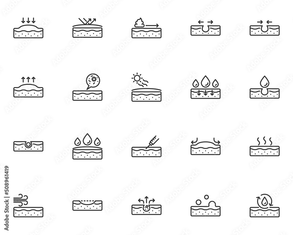 set of skin line icons, epidermis, wrinkles, pore Stock Vector | Adobe ...