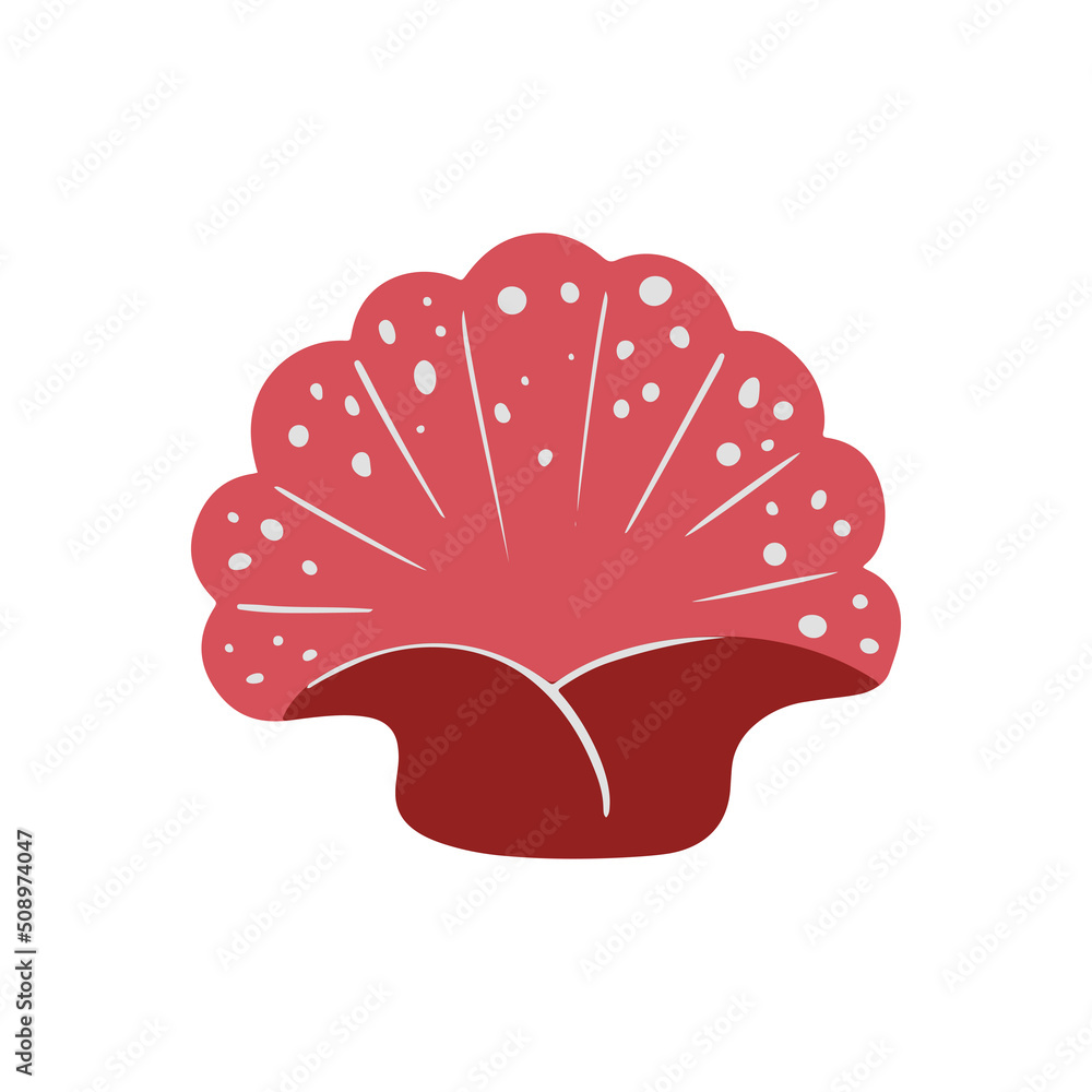 Colorful seashell icon. The clam symbol is isolated on a white ...