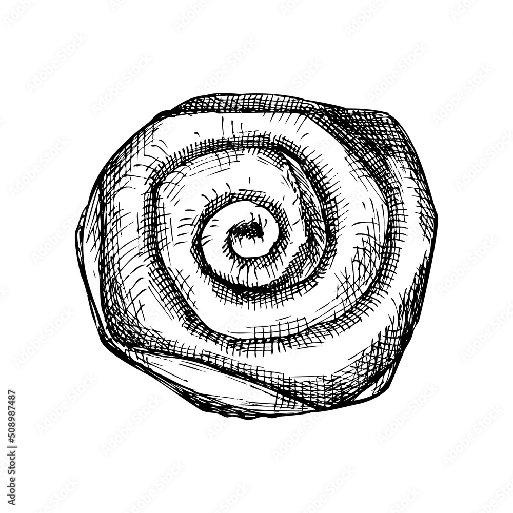 Sketched cinnamon roll illustration. Vector sketch of traditional baked ...