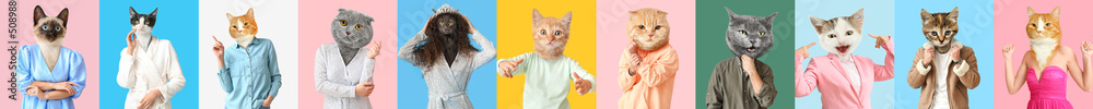 Set of cute cats with human bodies on colorful background Stock Photo ...
