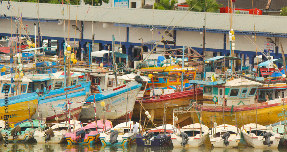 Colorful fishing boats and trawlers docked in a harbour in Sri Lanka ...