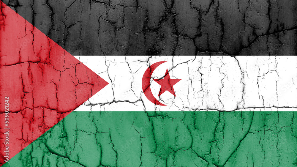 Textured photo of the flag of Sahrawi Arab Democratic Republic with ...