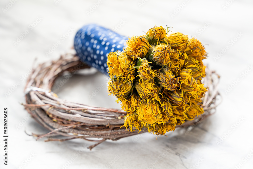A withered bouquet of dandelions on a light background, similar to a ...