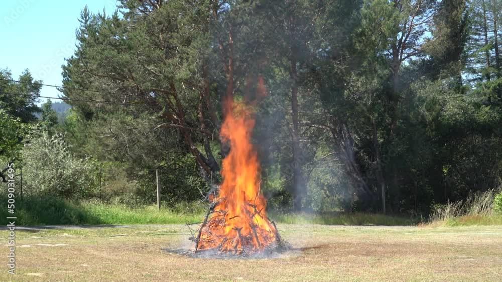 Orchard slash branches being burned in a bonfire on a cleared area ...