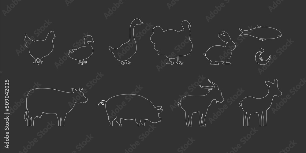 Meat symbols set for product packaging label design, butchery shop ...