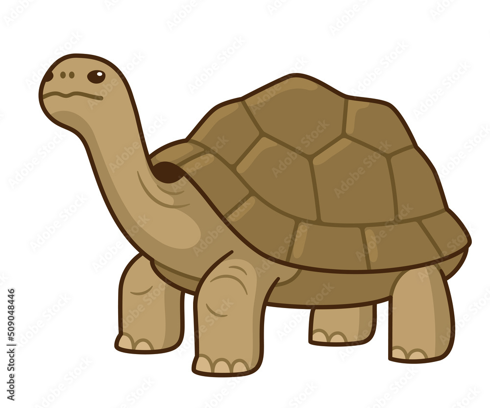 Galapagos Giant Tortoise Cartoon Drawing Stock Vector Adobe Stock