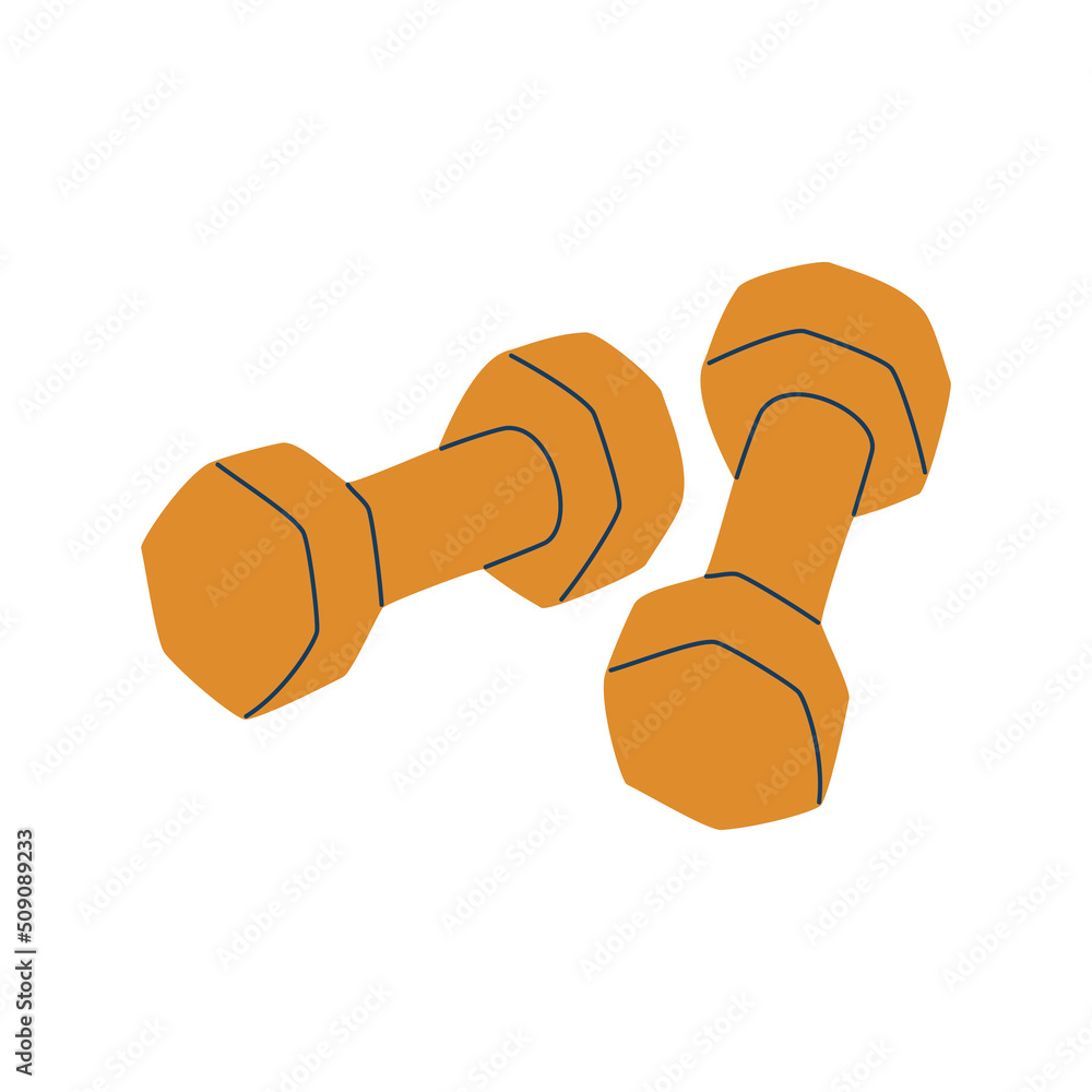 Dumbbells for sport exercise. Equipment for home workout strength ...