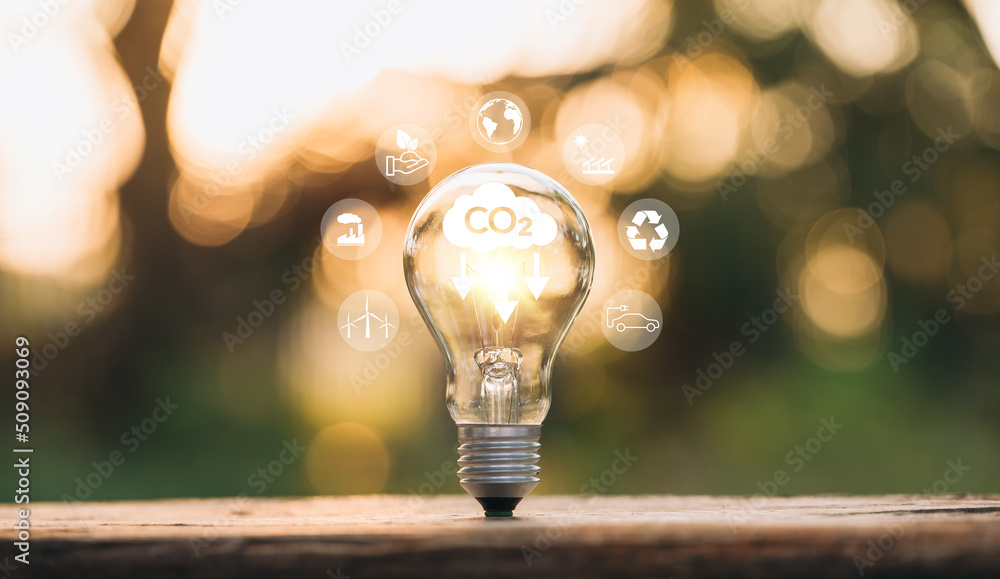 Net zero and carbon neutral concept. Light bulb with NetZero icons ...
