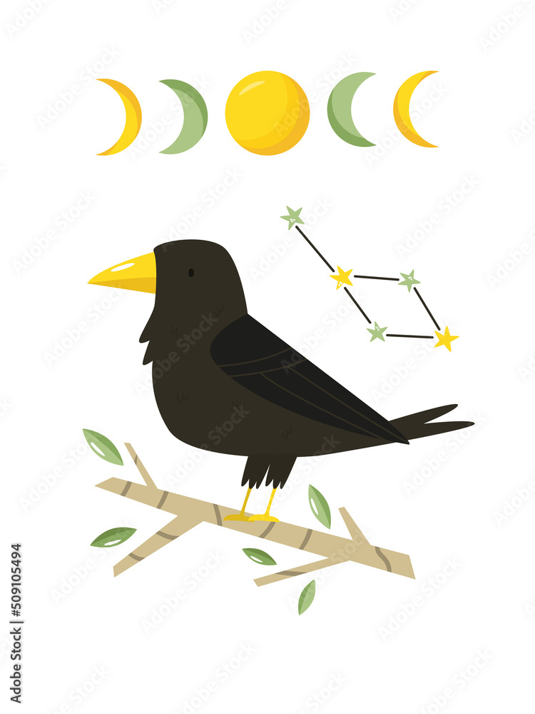 Vector illustration of a raven, constellation and moon phases Stock ...
