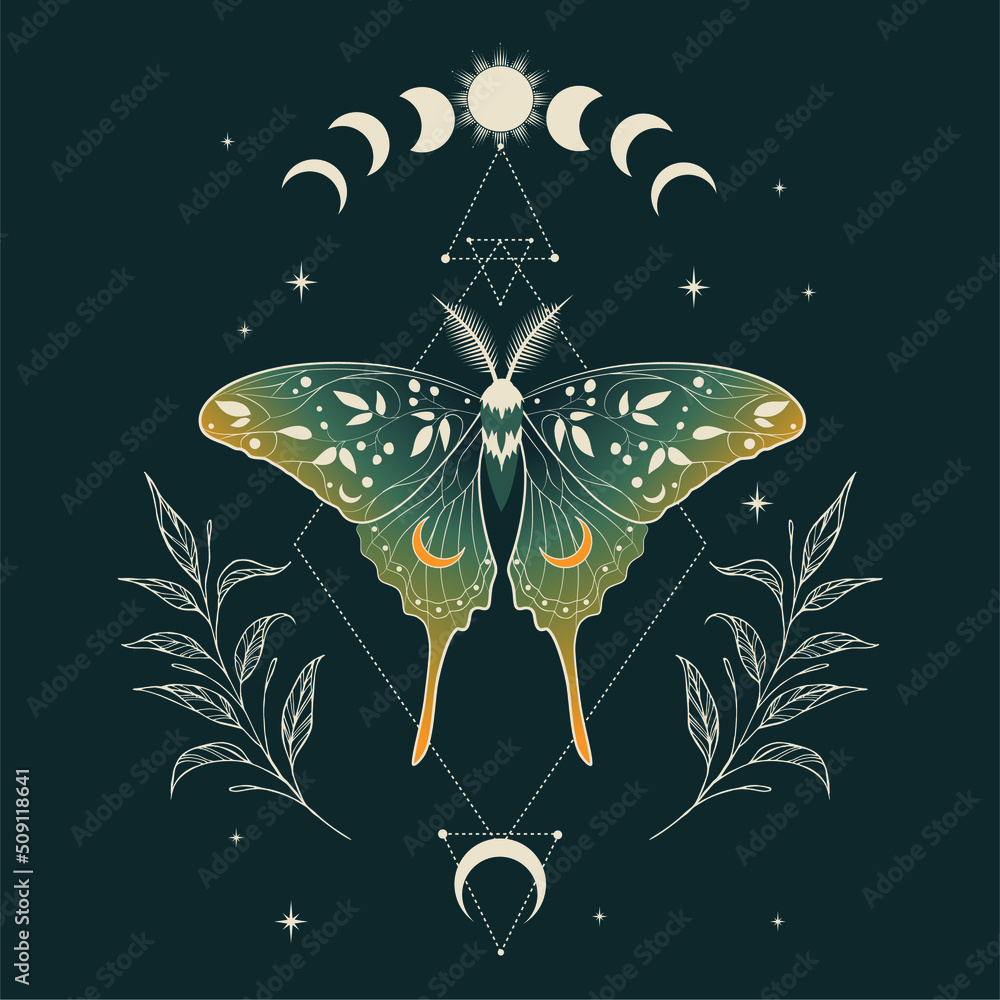 Green vector illustration of moon moth. For print for T-shirts and bags ...